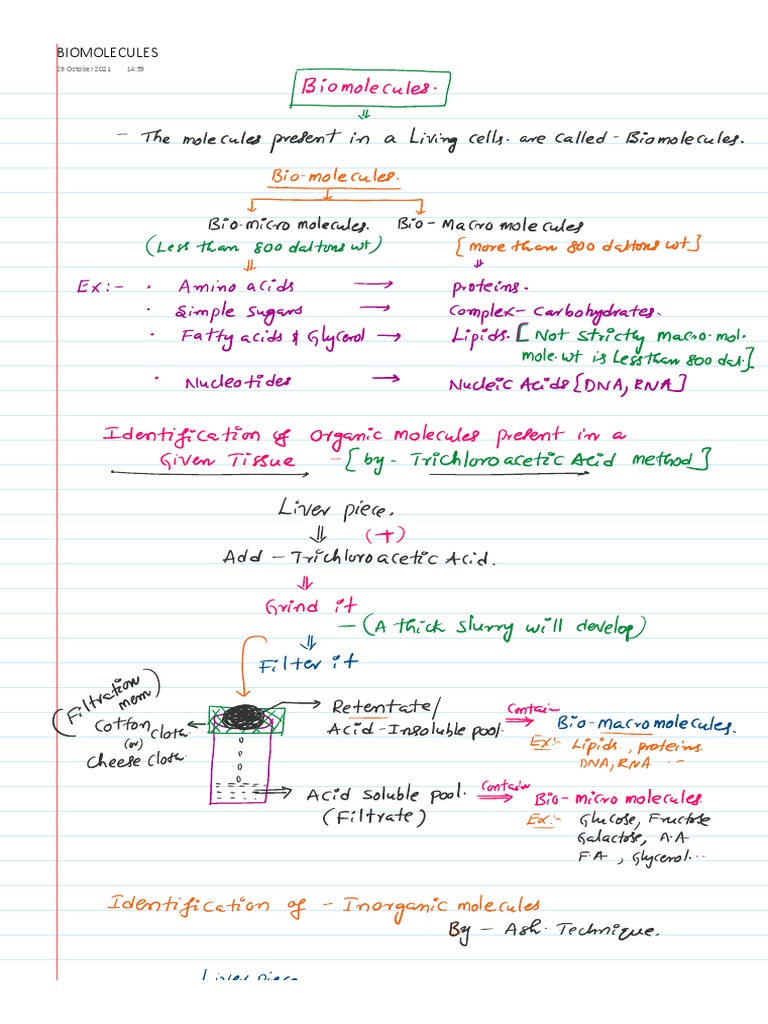 Biomolecules (Complete) . | PDF