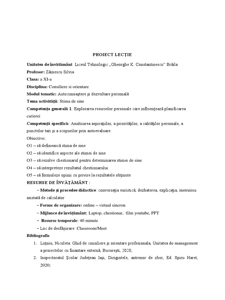 Proiect Lectie Consiliere Si Orientare - Stima de Sine-Zainescu Silvia | PDF