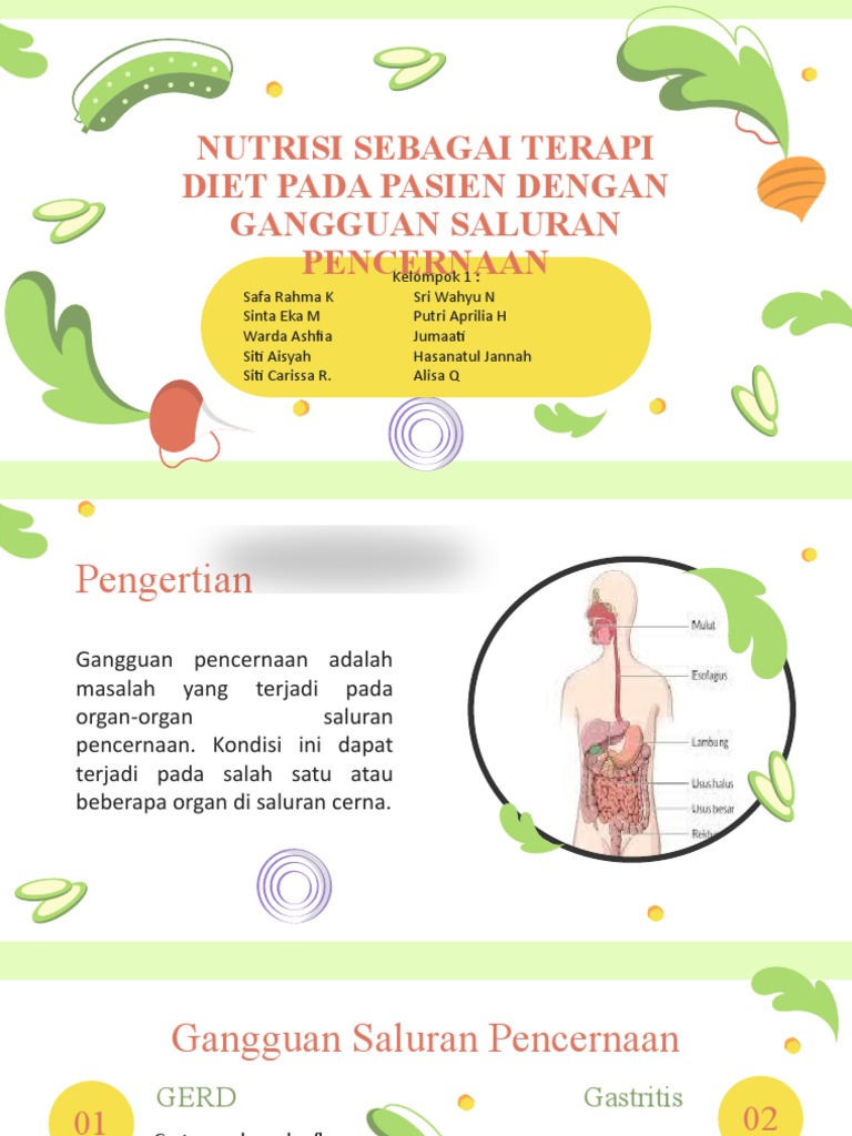 Nutrisi Terapi Diet Gangguan Pencernaan | PDF