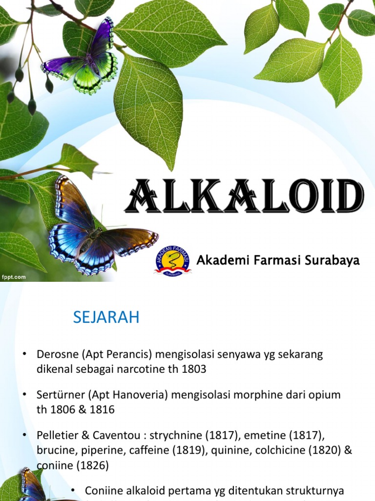 Alkaloid 1 | PDF