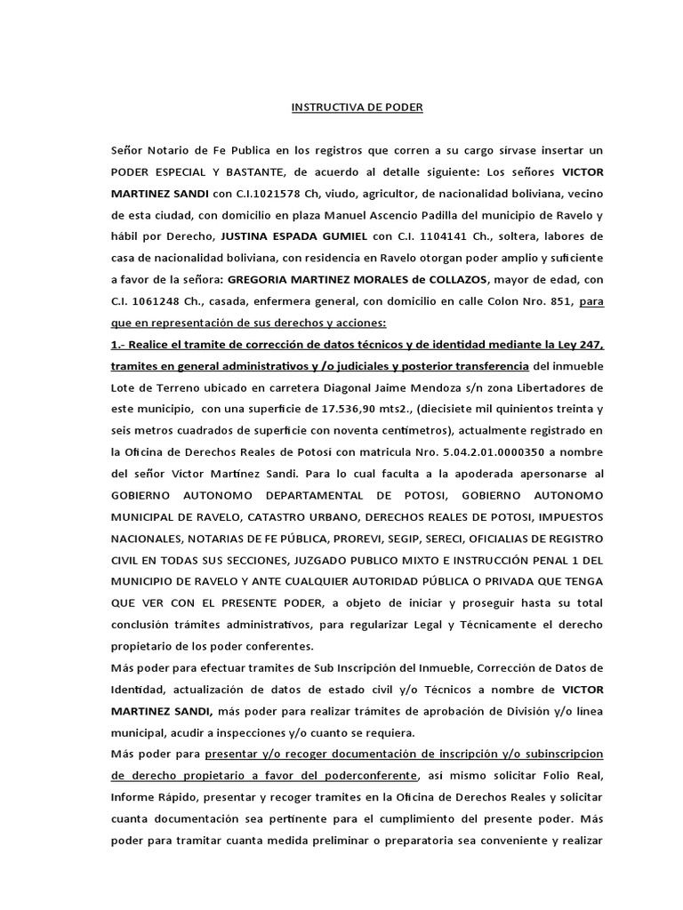 Corregido Instructiva de Poder Sr. Victor Martinez | PDF | Propiedad | Gobierno