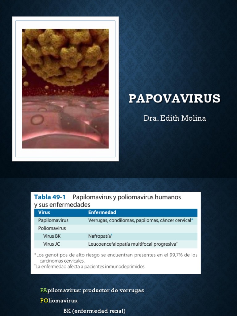 Papovavirus | PDF | Ciencia y matemáticas