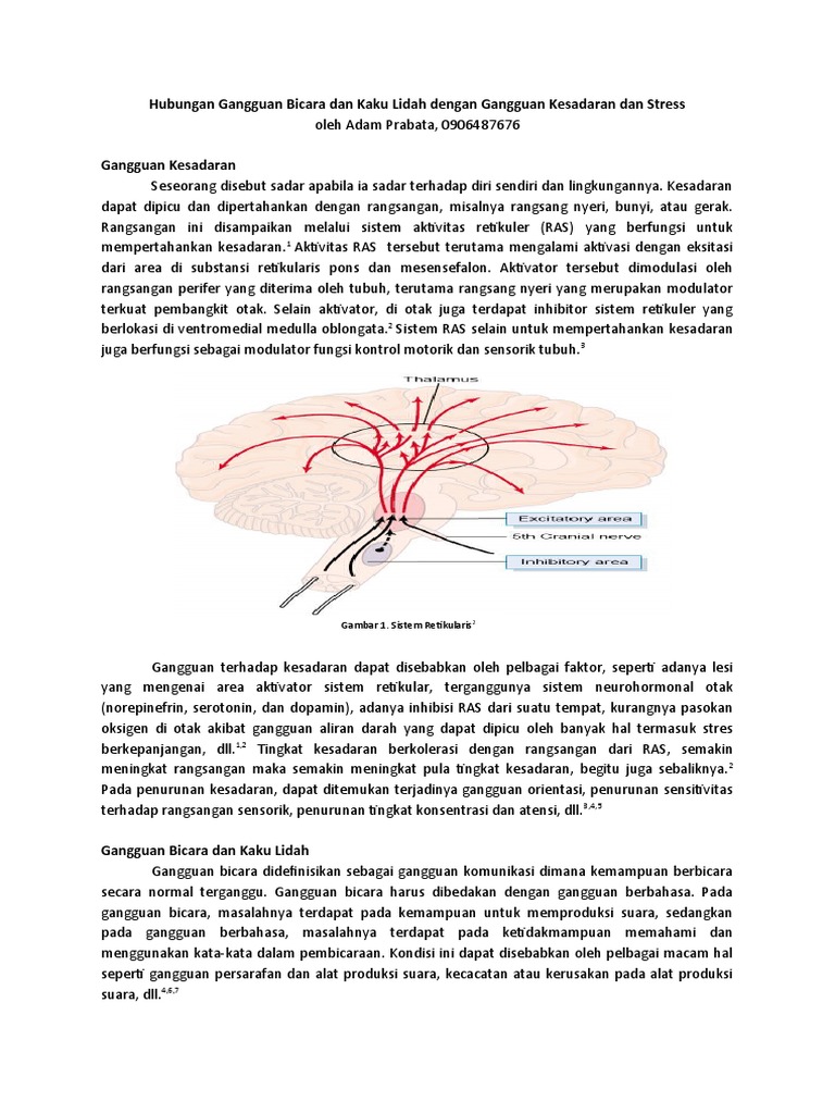 LTM 1 Saraf Jiwa | PDF
