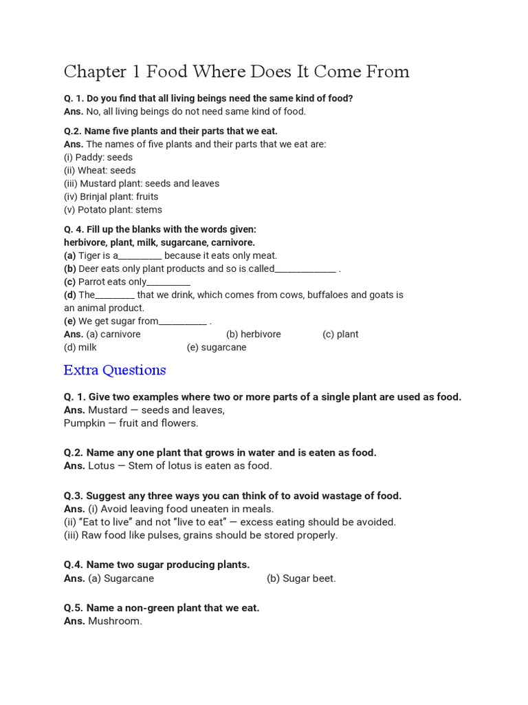 Food Sources: Class 6 Overview | PDF | Foods | Fruit