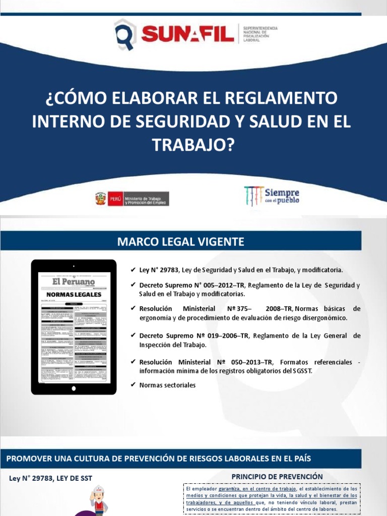 Cómo Elaborar Un RISST - 2022 | PDF