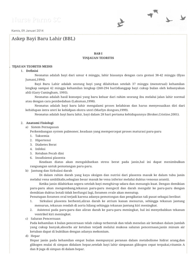 Nurse Parno SC - Askep Bayi Baru Lahir (BBL) 084757 | PDF