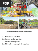 Layout of A Nursery | PDF | Plant Nursery | Horticulture