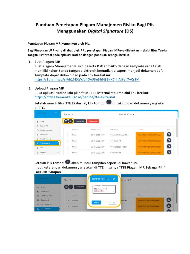 Panduan Penetapan Piagam MR Menggunakan DS Untuk PLT | PDF