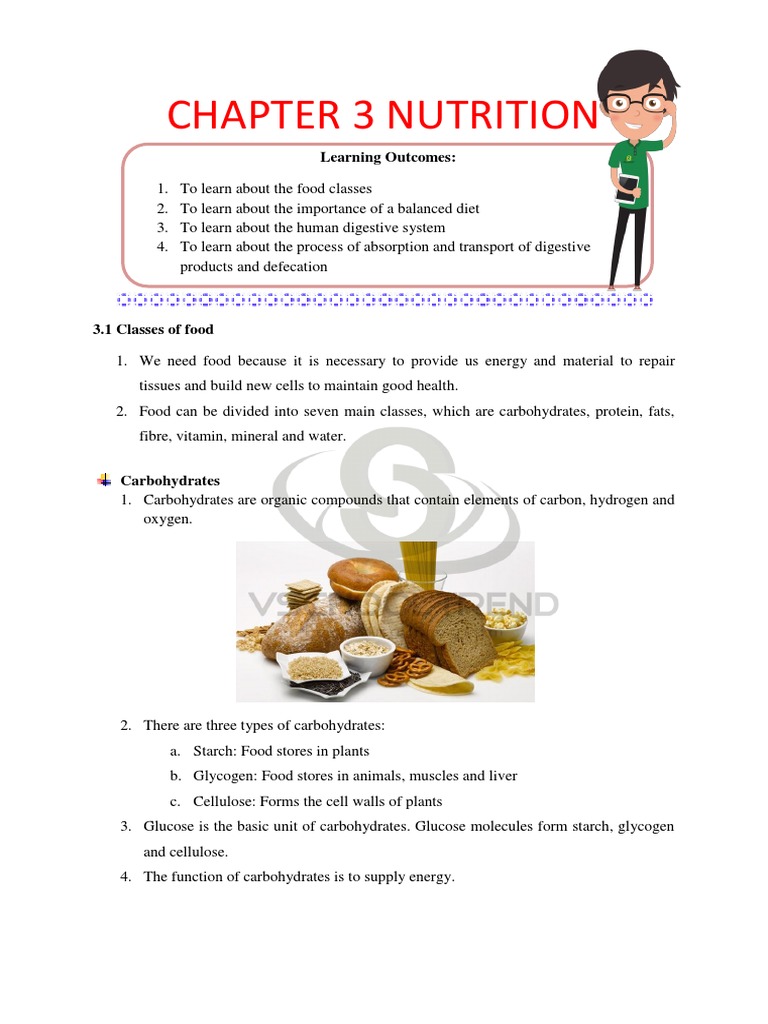 Form 2 Nutrition | PDF | Digestion | Calorie