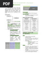 MATHEMATICS 10 First Quarter Reviewer | PDF | Polynomial | Factorization