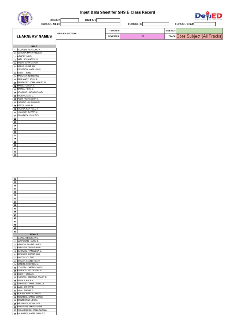 SHS E-Class Record Input Data Sheet | PDF