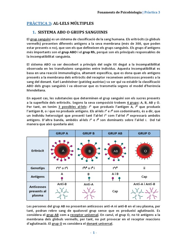 Pràctica 3. Al Lels Múltiples | PDF