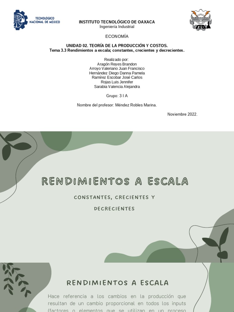 Rendimientos A Escala Pdf Negocios Económicos Business
