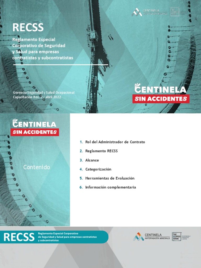 Capacitación RECSS (Rev 3 Abril 2022) | PDF