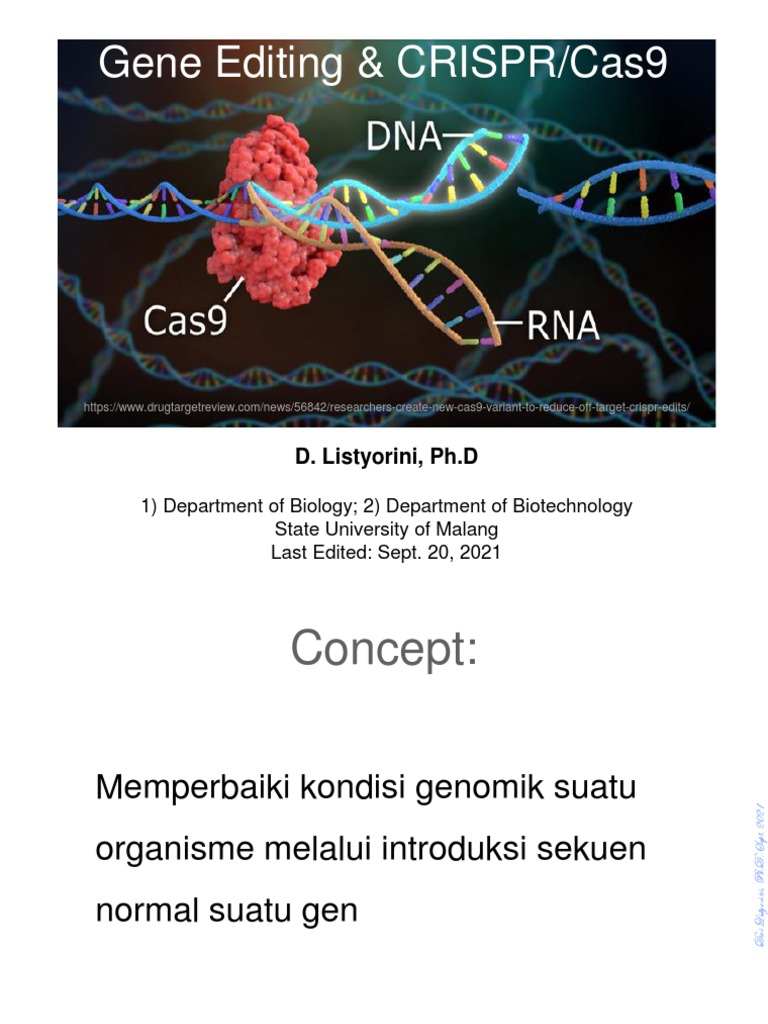 3 Genetic Modification-Editing | PDF | Crispr | Molecular Genetics