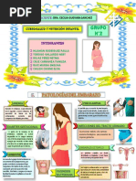 Clave Roja Obstétrica | PDF | Especialidades Medicas | Salud maternal