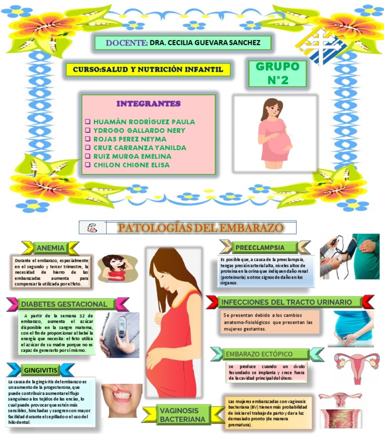 Patologías del Embarazo y Salud Materna | PDF | El embarazo | La salud ...