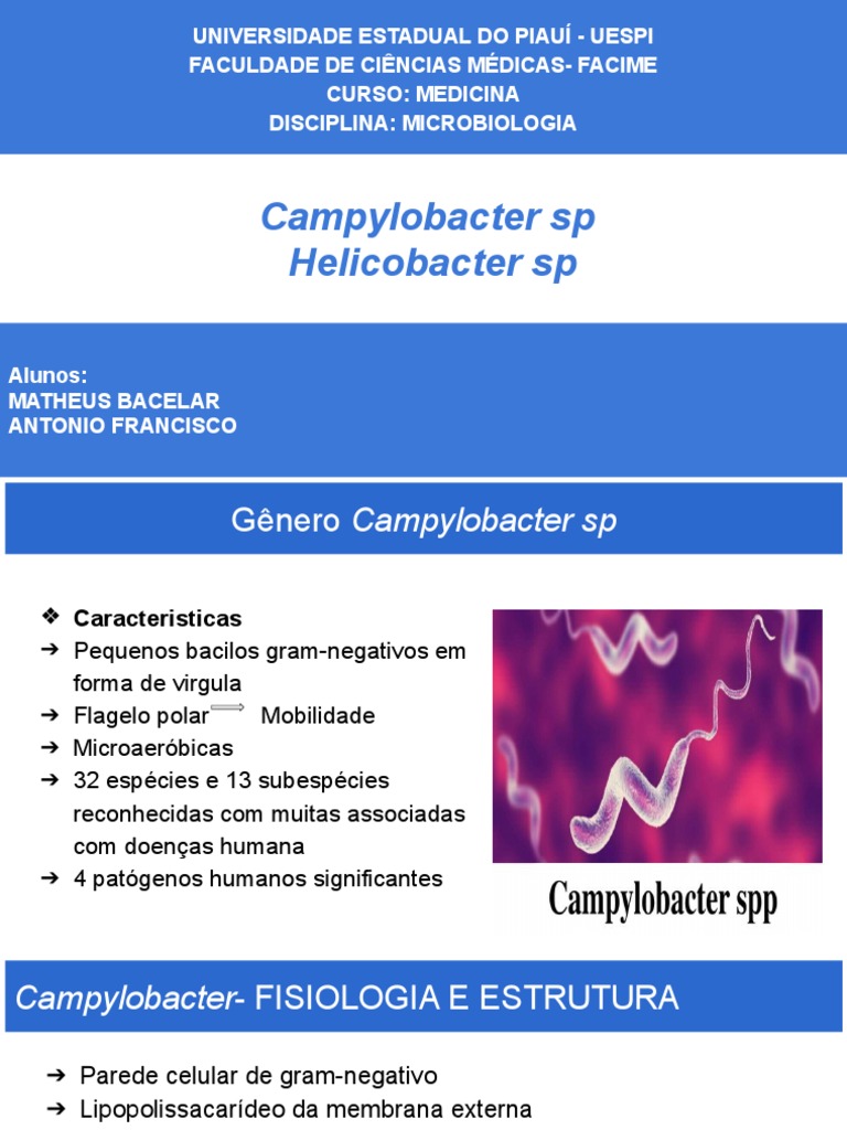 Campylobacter SP Helicobacter SP | PDF | Imunologia | Microbiologia