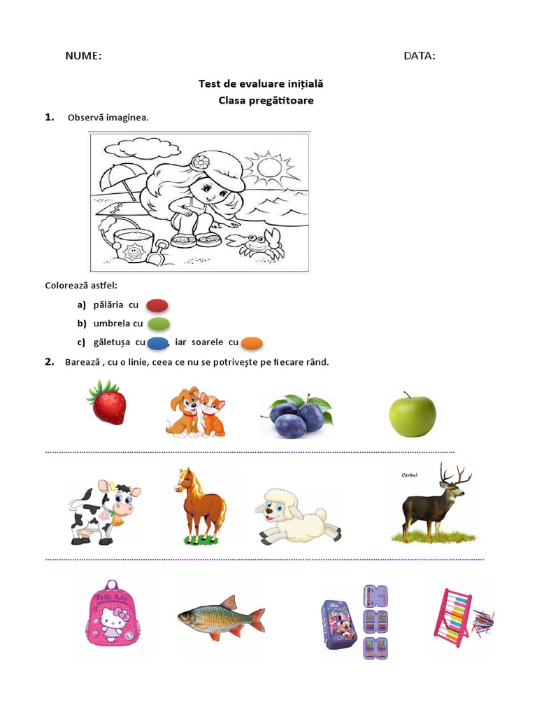 37 Test de Evaluare Initiala | PDF