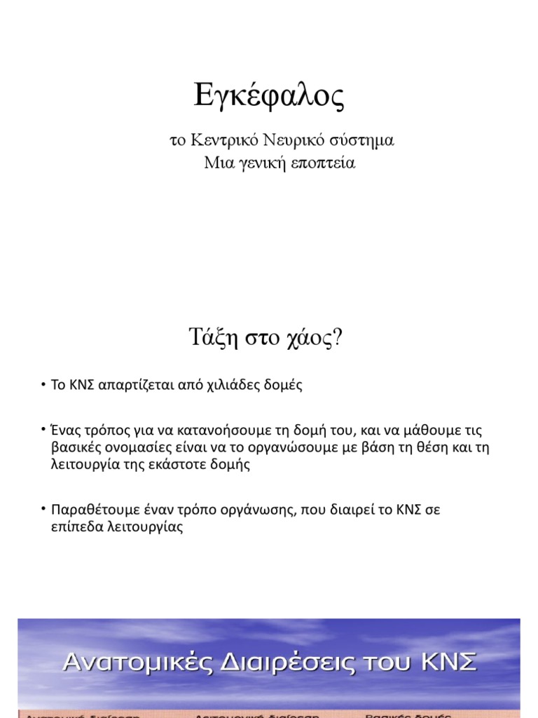 κεντρικό νευρικό σύστημα | PDF