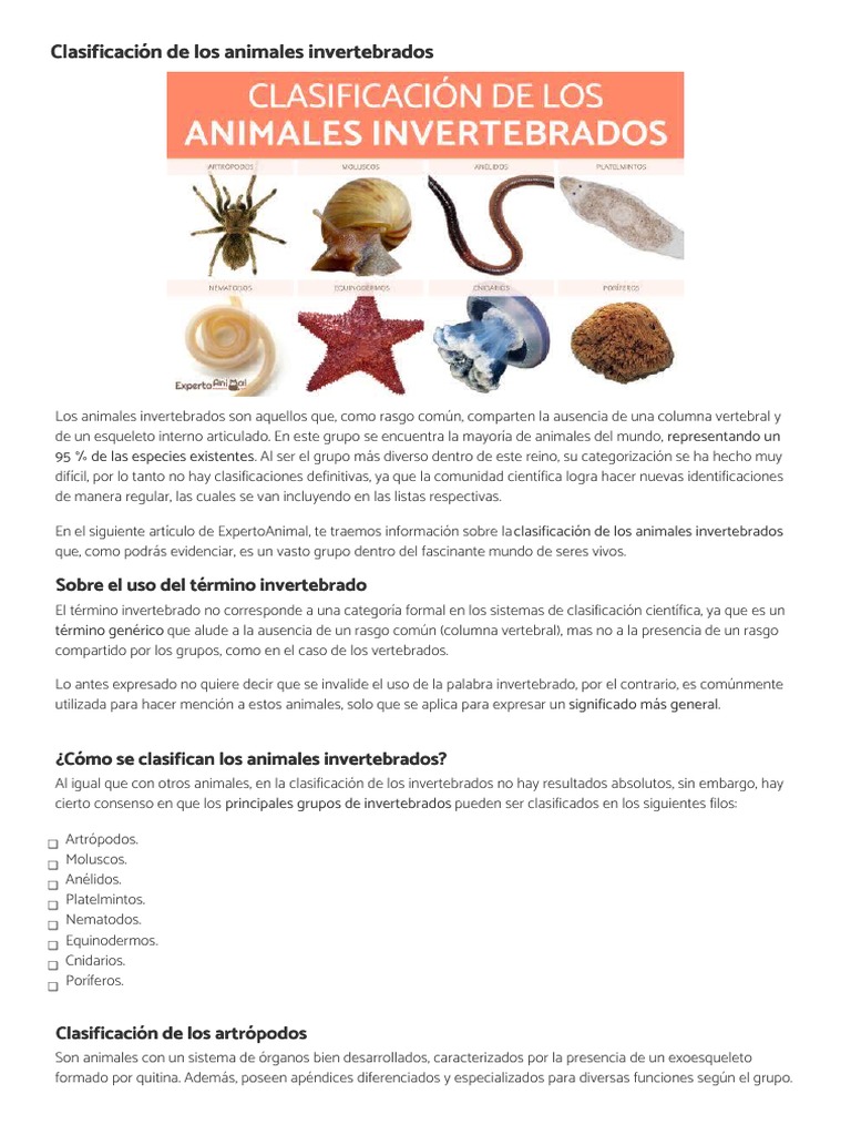 Clasificación de Los Animales Invertebrados | PDF | Invertebrado ...