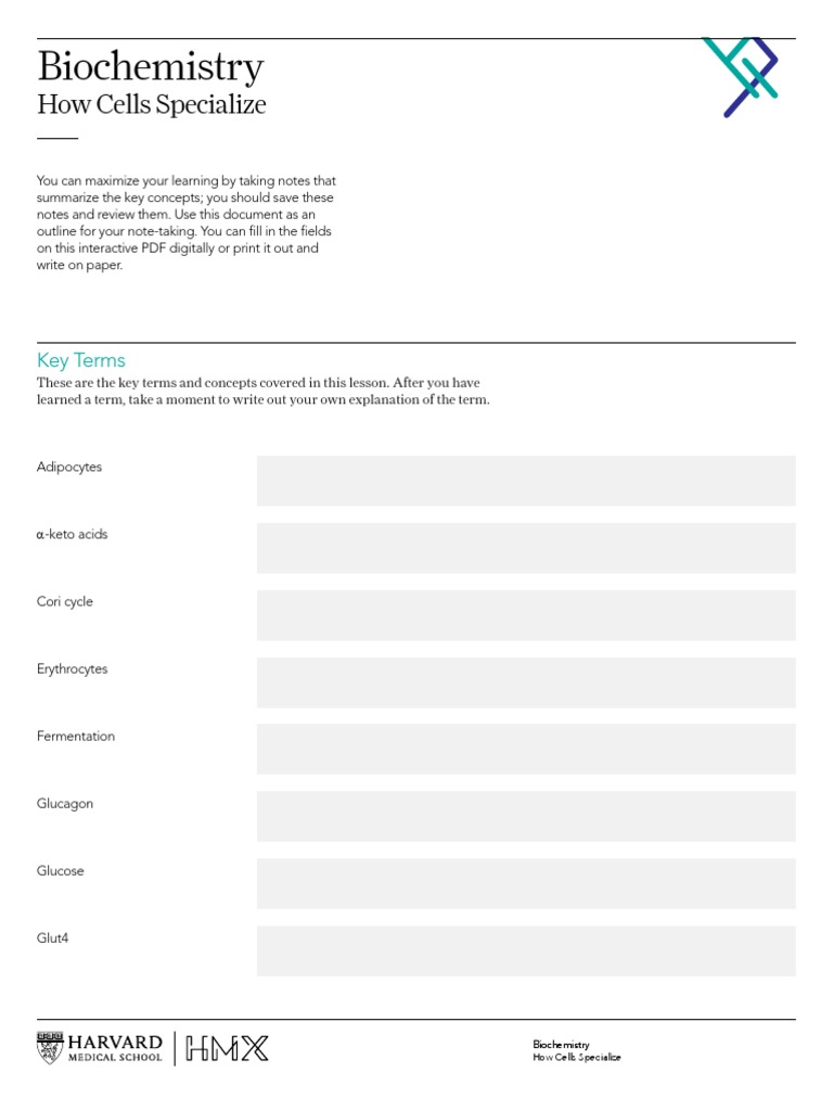 Harvard Medical School Biochemistry Notepad | PDF