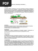 Mapa Conceptual de Ecosistema | PDF | Ecosistema | Suelo