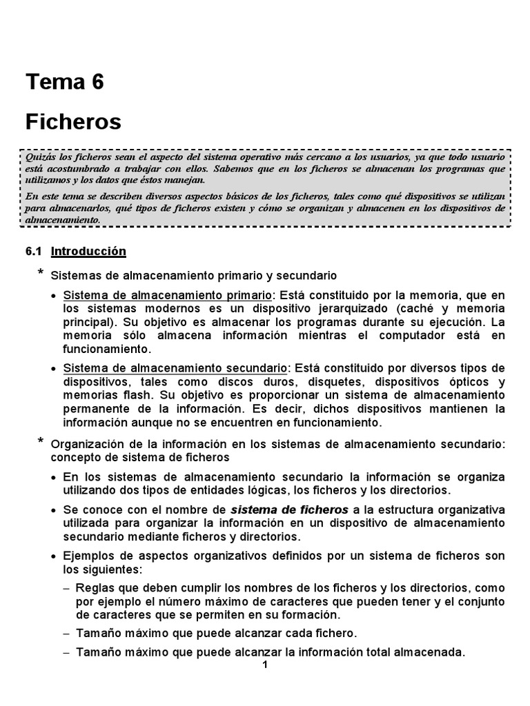 T06 Ficheros | PDF | Archivo de computadora | Sistema de archivos