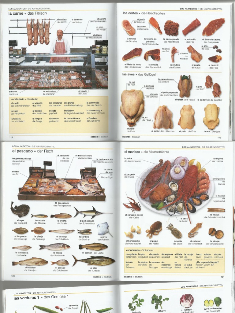Vocabulario Alimentos Nahrungsmittel | PDF