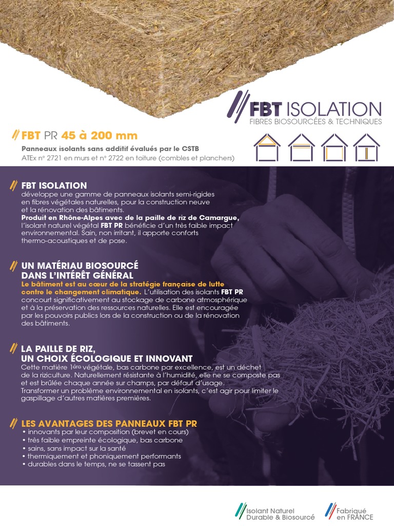 Panneau Paille de Riz | PDF | Composé organique volatil | La nature