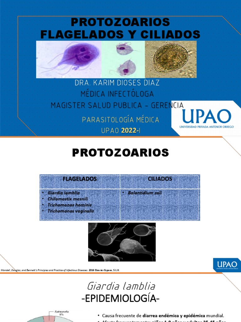 Flagelados y Ciliados Sem 3 Parasitologia | PDF | Especialidades ...