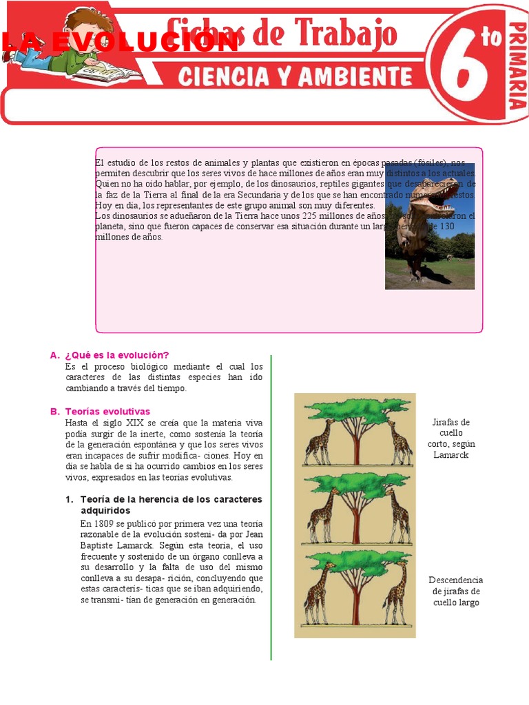 La Evolución para Sexto Grado de Primaria | PDF | Evolución | Charles ...