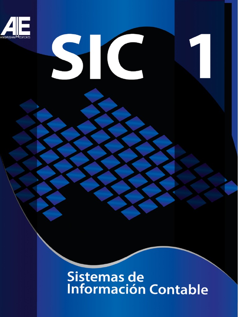 Libro Sistemas de Informacion Contable | PDF