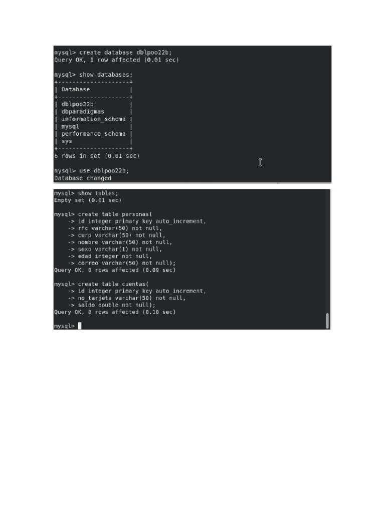 Base de Datos LPOO | PDF