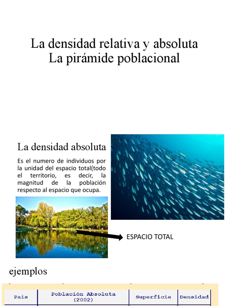 La Densidad Relativa y Absoluta | PDF