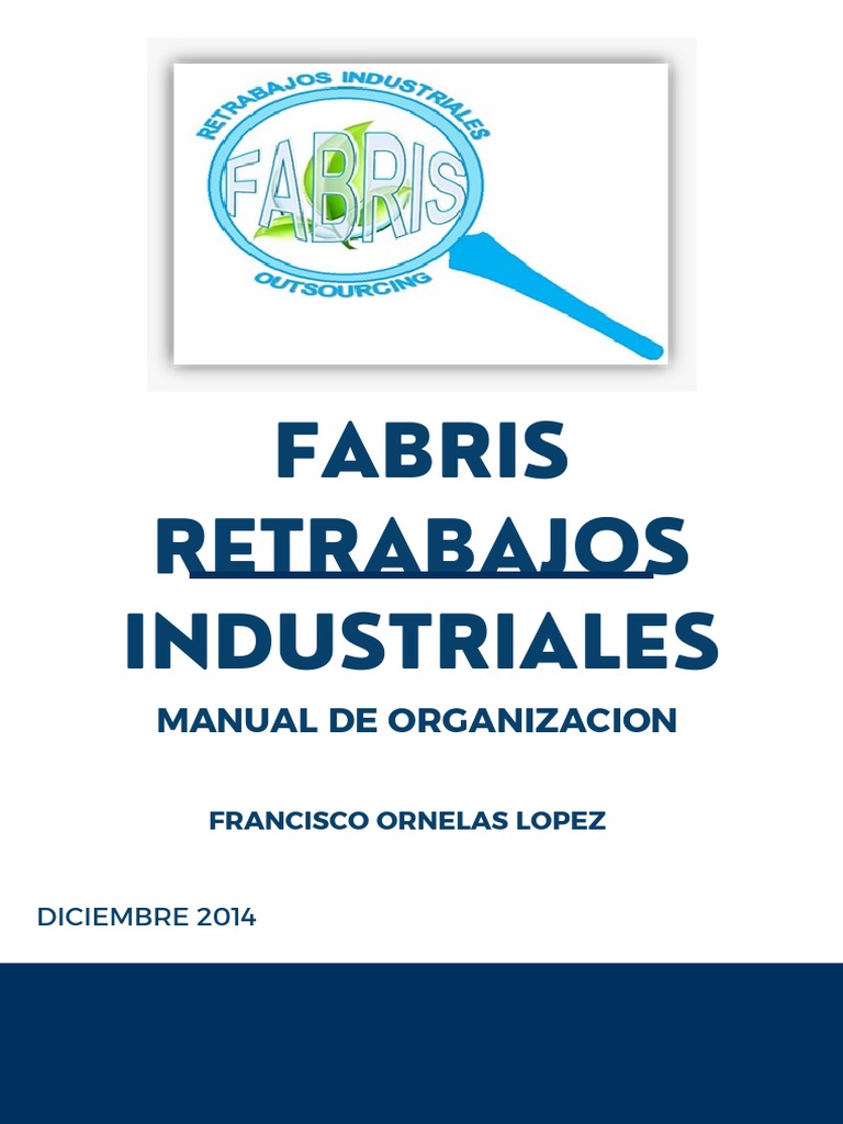 Manual de Organización de Fabris | PDF