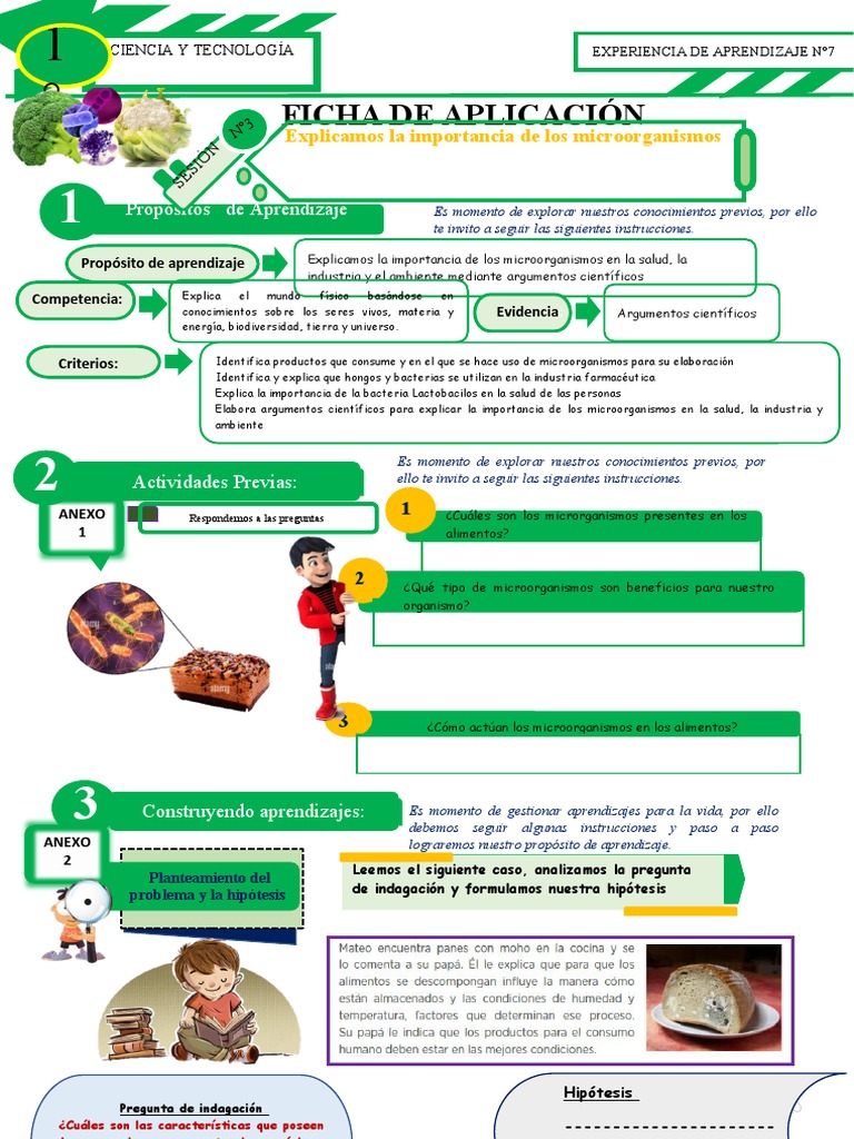 1° Ficha de Aplicación-Sesión 3-Sem.2-Exp.7-Cyt | PDF | Fermentación | Yogur