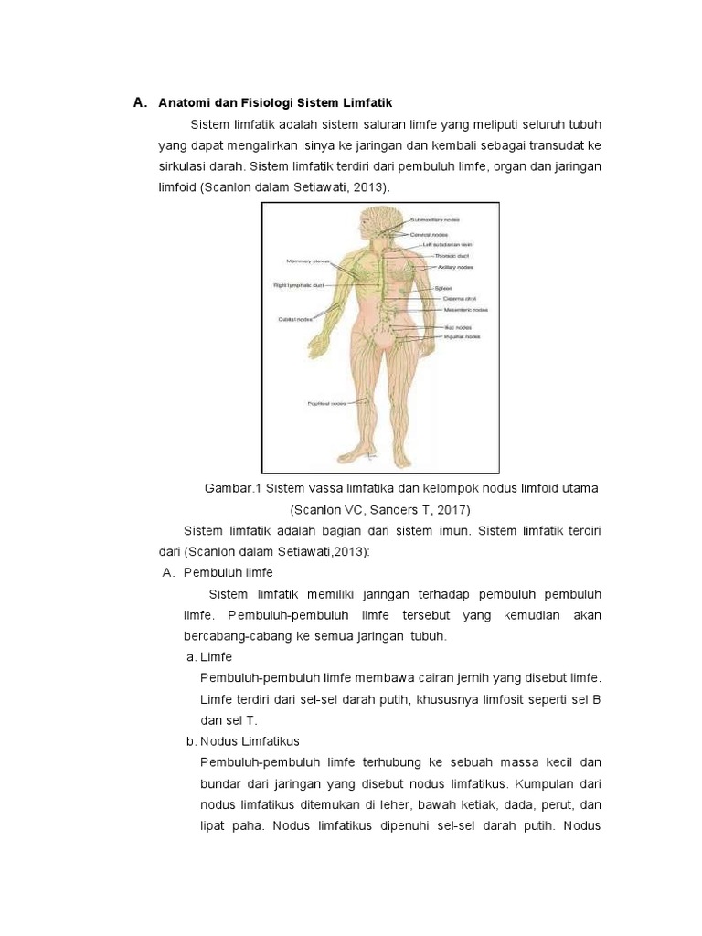 LP Kelenjar Getah Bening - MGG Ke 7 - RG Kemo | PDF