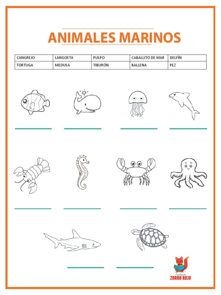 Animales Marinos | PDF
