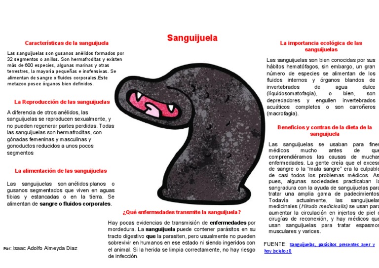 Características y reproducción de sanguijuelas | PDF