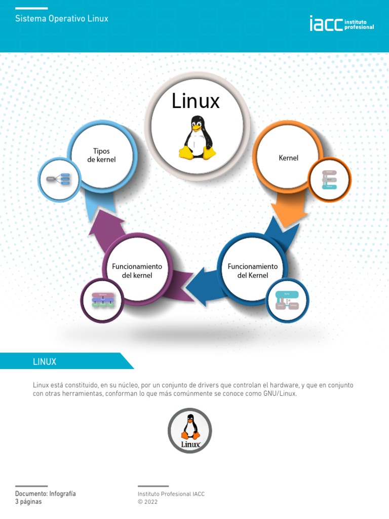 S7 Infografia Funhd1303 | PDF