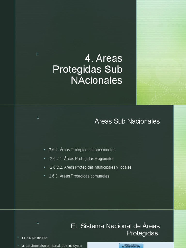 Áreas Protegidas y Biodiversidad en Bolivia | PDF | Biodiversidad | Los ...