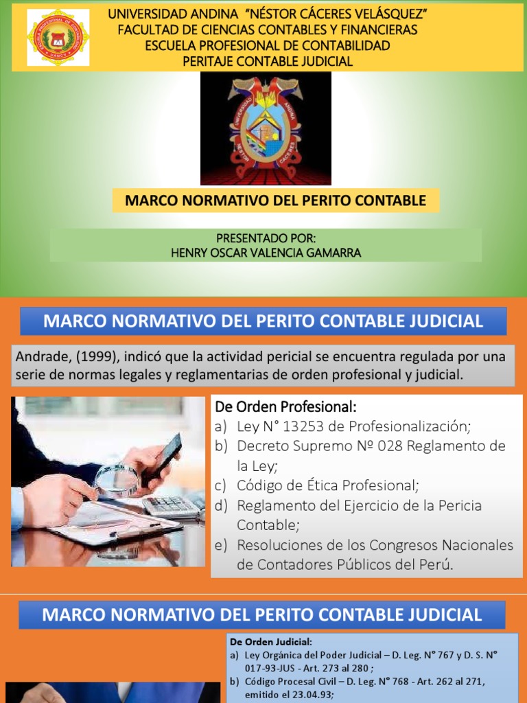 Peritaje Contable | PDF | Evidencia (ley) | Testigo experto
