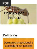 CAPÍTULO 17 - Prurigo Por Insectos (Cimiciasis) | PDF | Insecticida ...