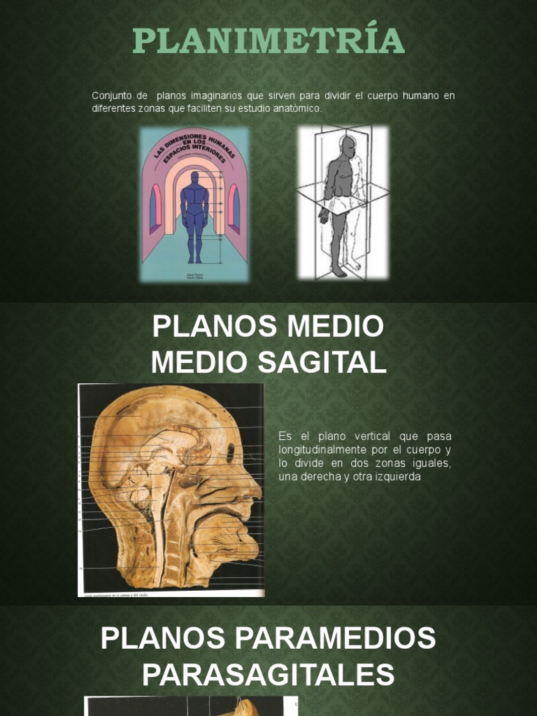PLANIMETRÍA | PDF