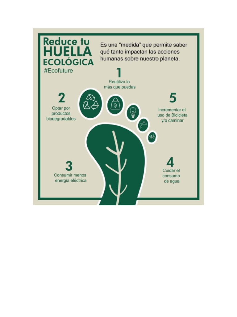 Reduce Tu Huella Ecologica | PDF