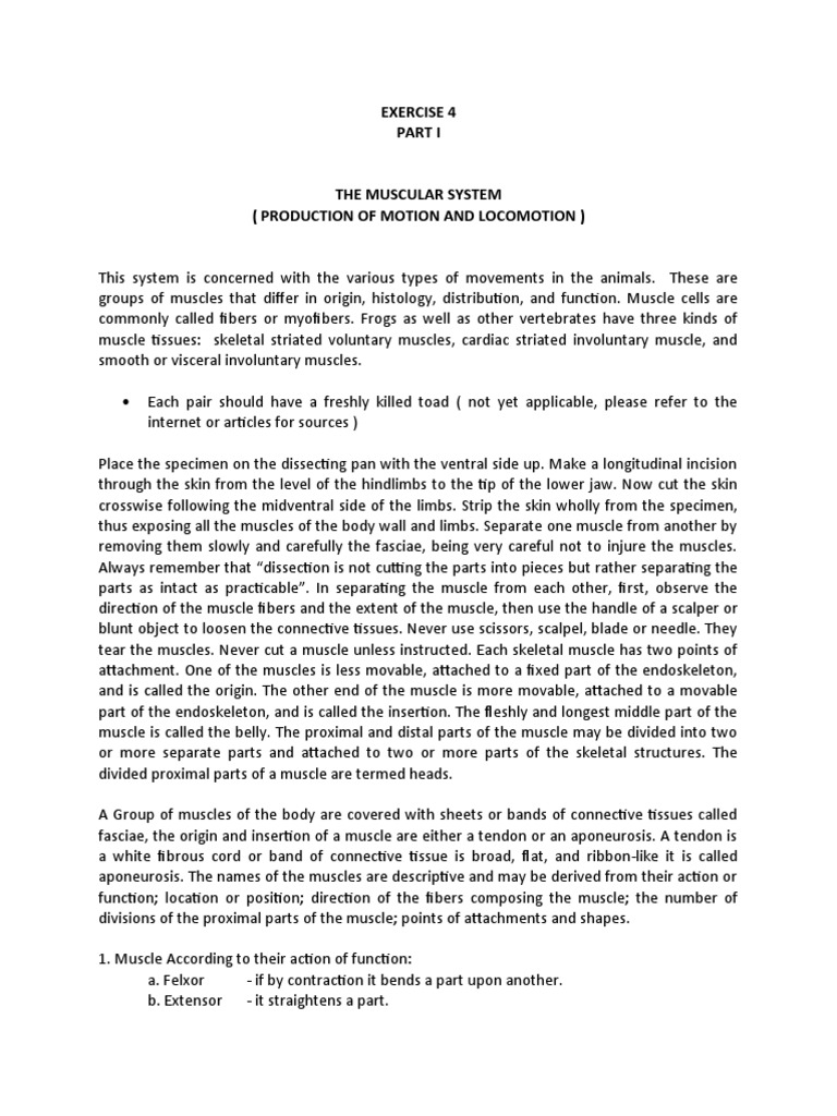 Exercise 4 Part I | PDF