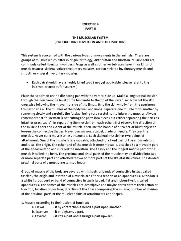 Exercise 4 Part Ii | PDF | Human Leg | Foot