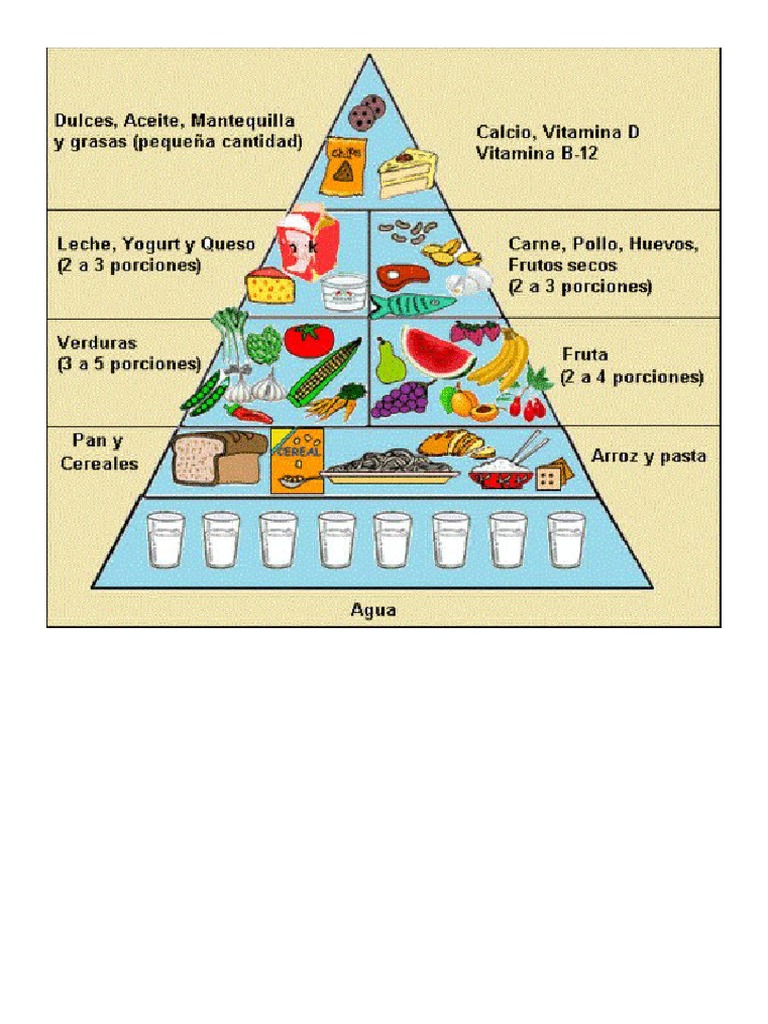 Piramide de Alimentos | PDF