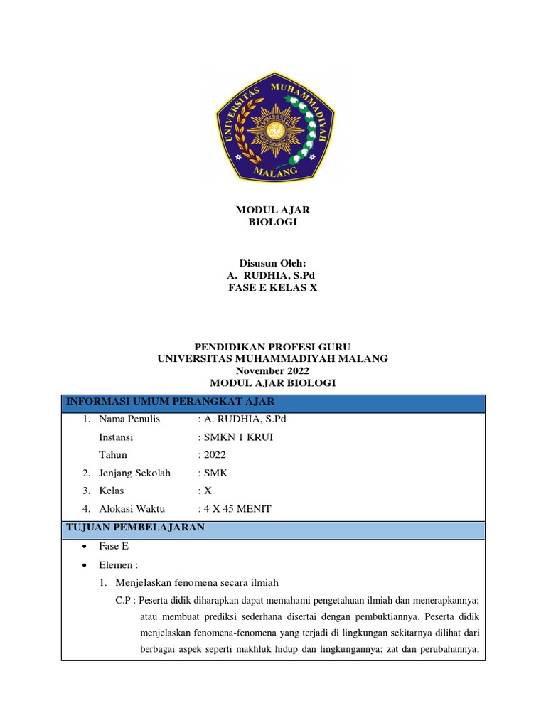 Modul Ajar PJBL A. RUDHIA | PDF